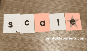 CVCe Words (Beginner's Guide to Magic E) - Printable Parents